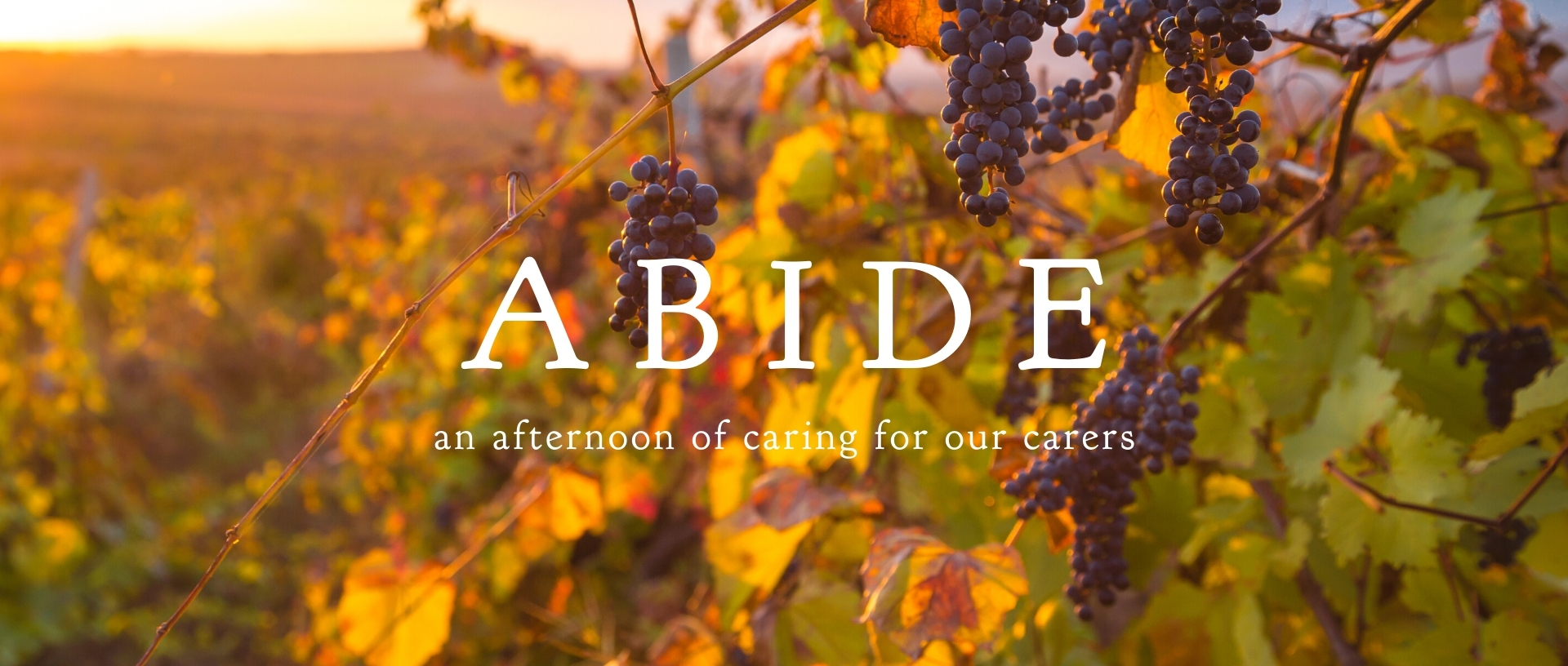 ABIDE | St Paul's Anglican Church Castle Hill